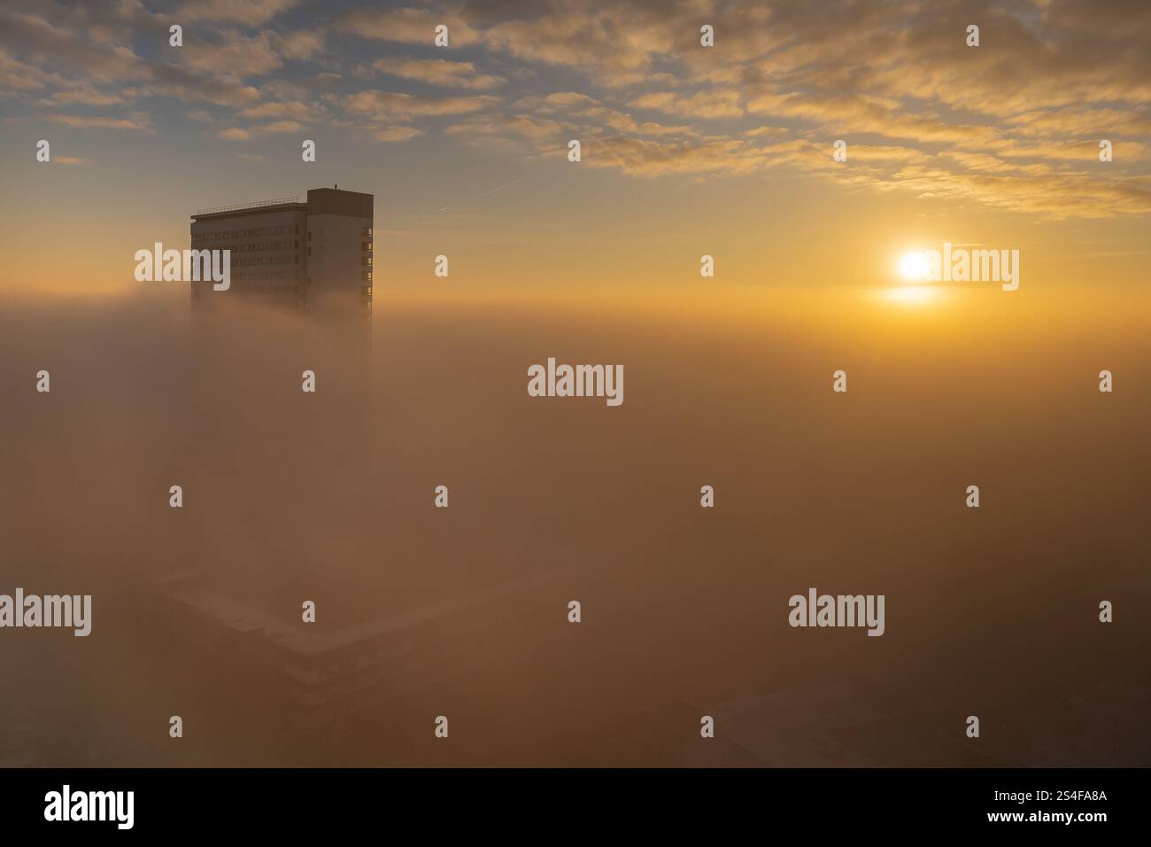 London, UK. 12th January, 2025. UK Weather: Heavy morning blanket fog ...