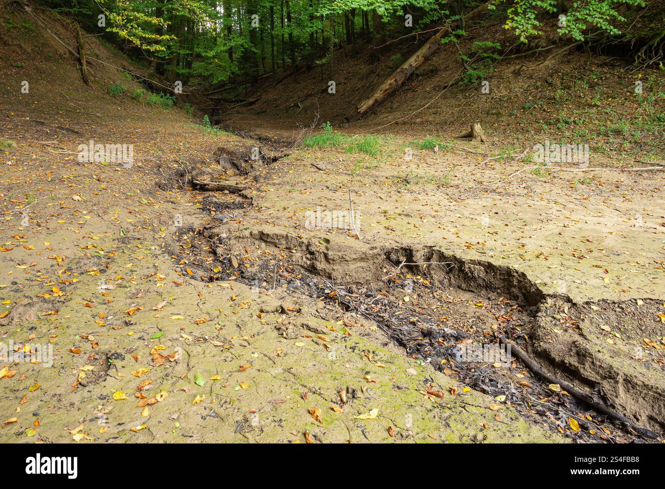 Earth split. Fissure in the earth. Natural disaster Stock Photo - Alamy