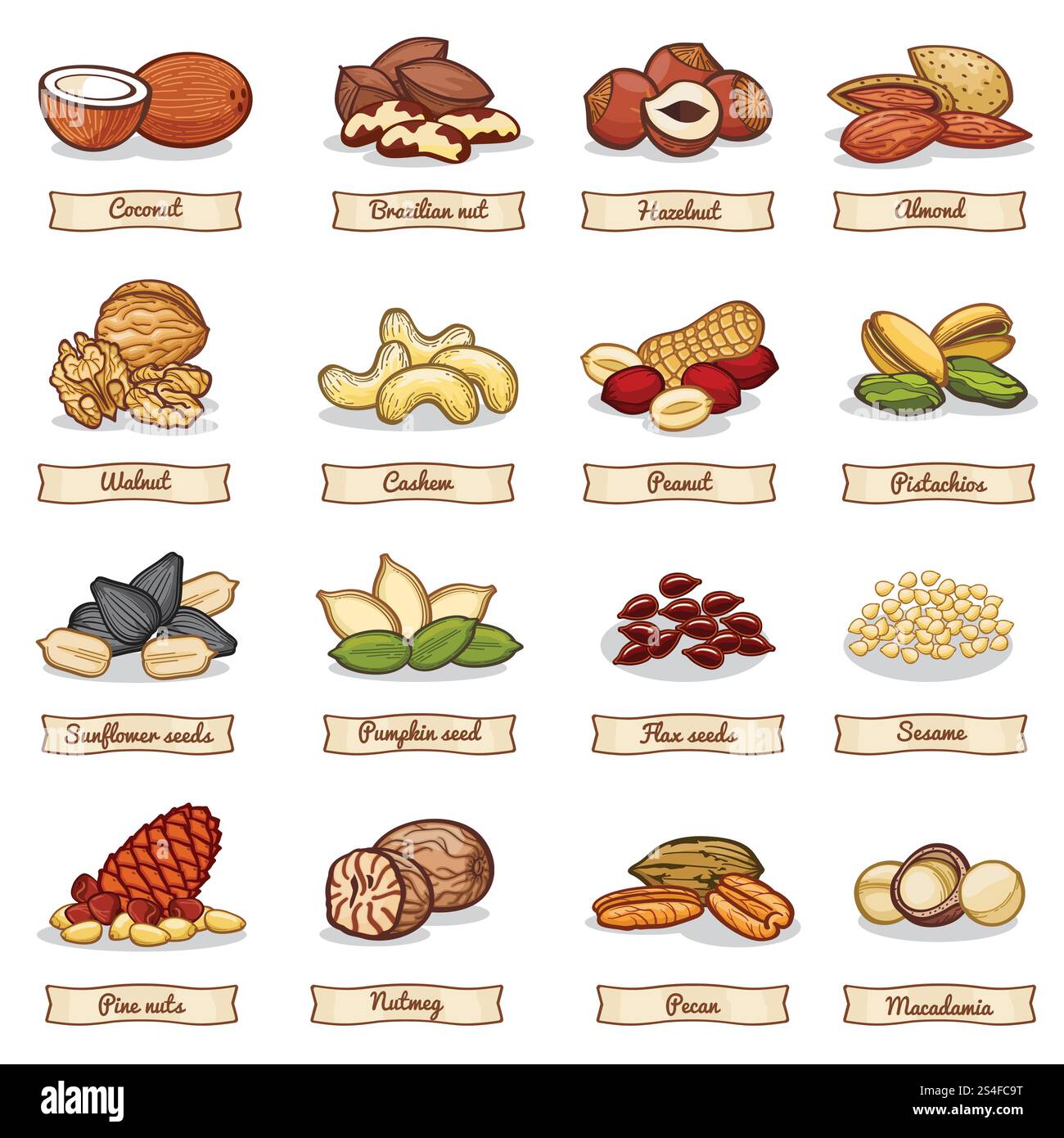 Cartoon color nut and seed grains. Vector collection nuts ingredient ...