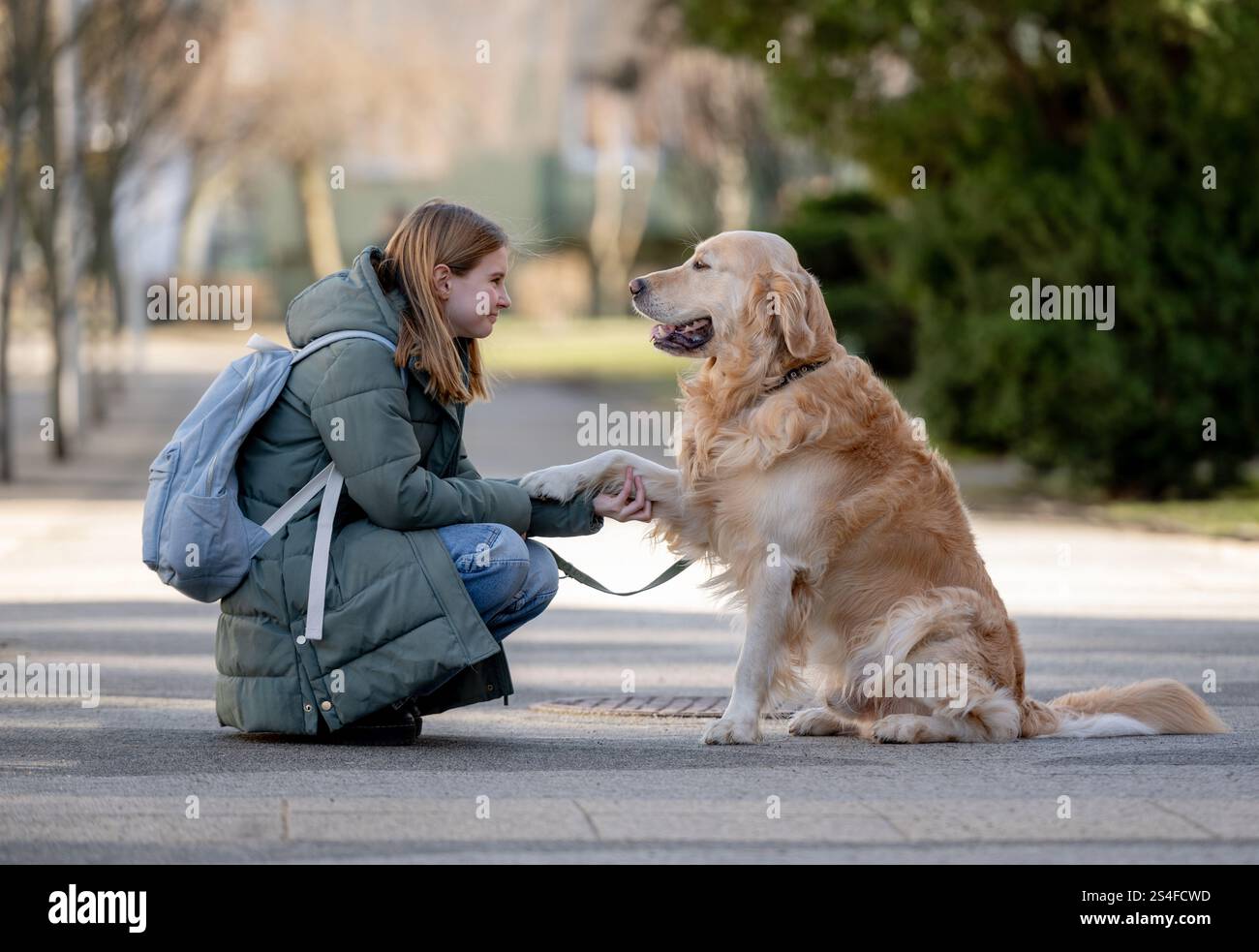 Golden Retriever Gives Paw To Its Young Girl Owner During Winter Walk ...
