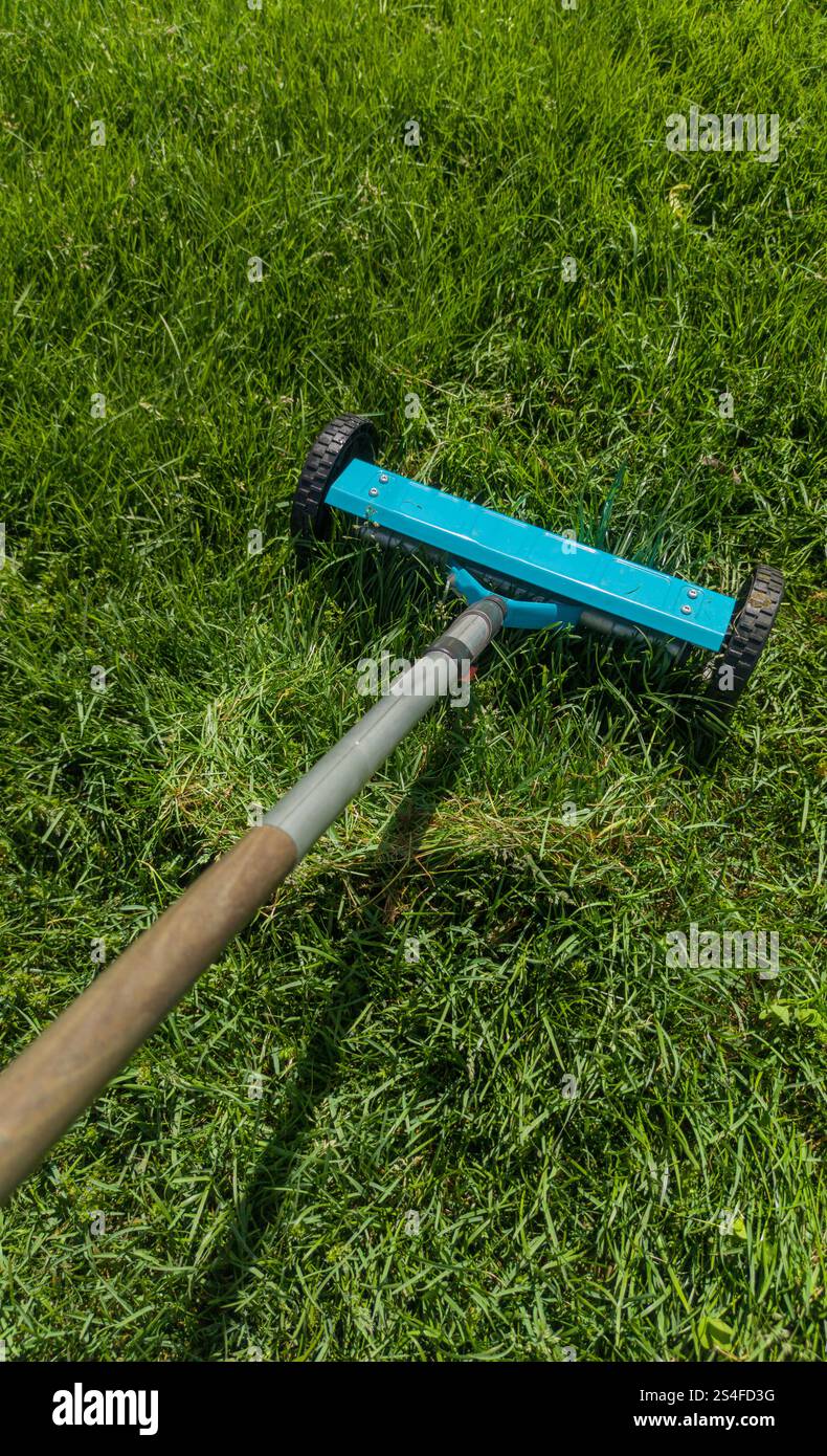 Hand scarifier for lawn in action. Manual tools for lawn maintenance ...