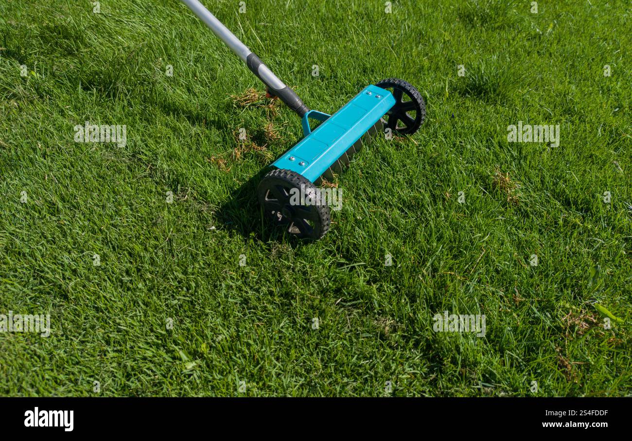Hand scarifier for lawn in action. Manual tools for lawn maintenance ...