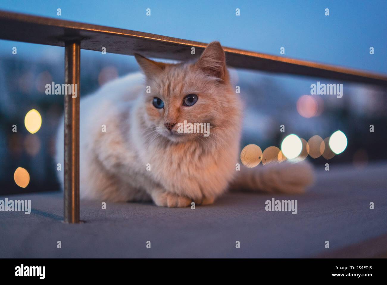 Magical evening hour hi-res stock photography and images - Alamy