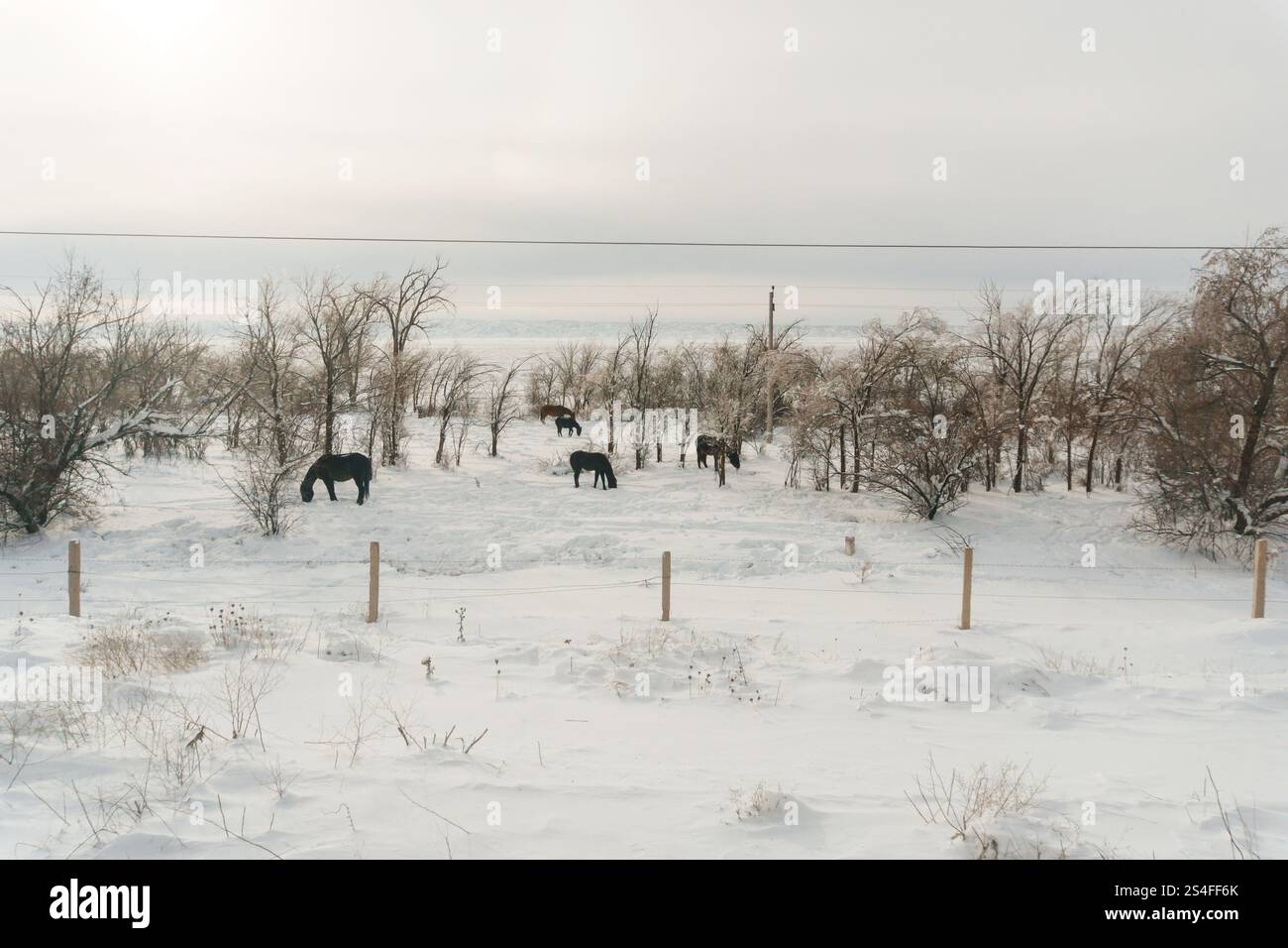 Kazakh steppe in the snow. railway after a blizzard in Kazakhstan Stock ...