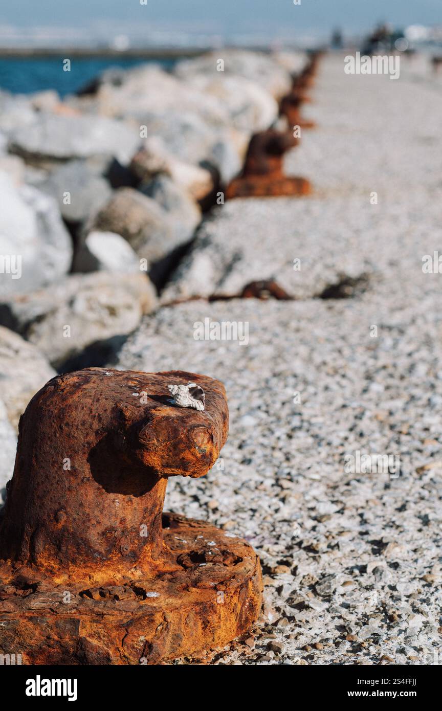 old iron anchor in a port with seashell Stock Photo - Alamy