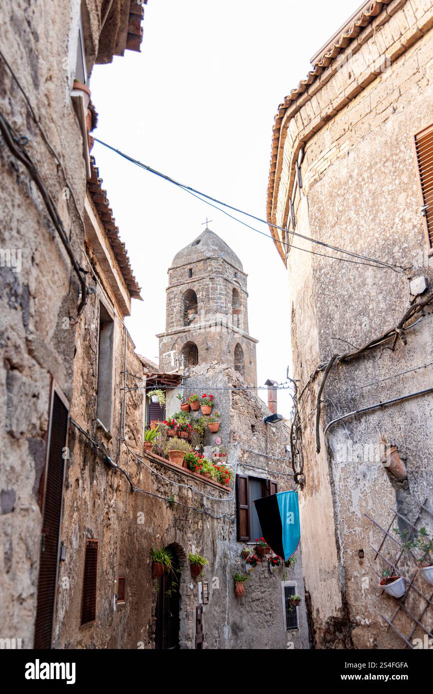 The photo captures the harmony between the historical grandeur of the ...
