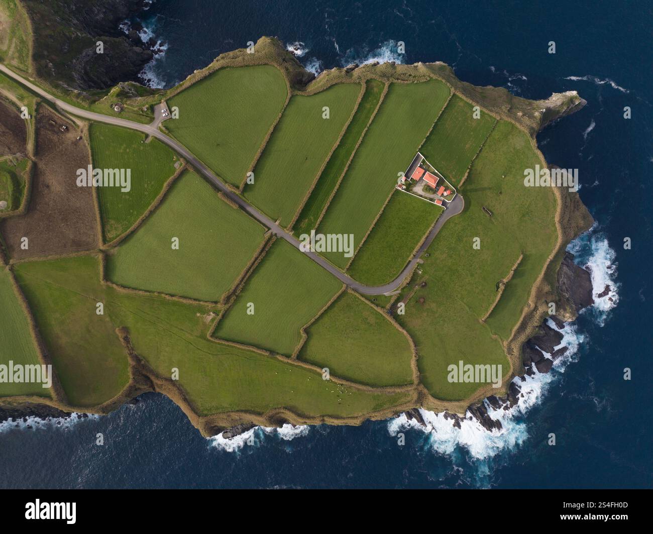 green grassland and rock land landscape of the Azores islands in the ...