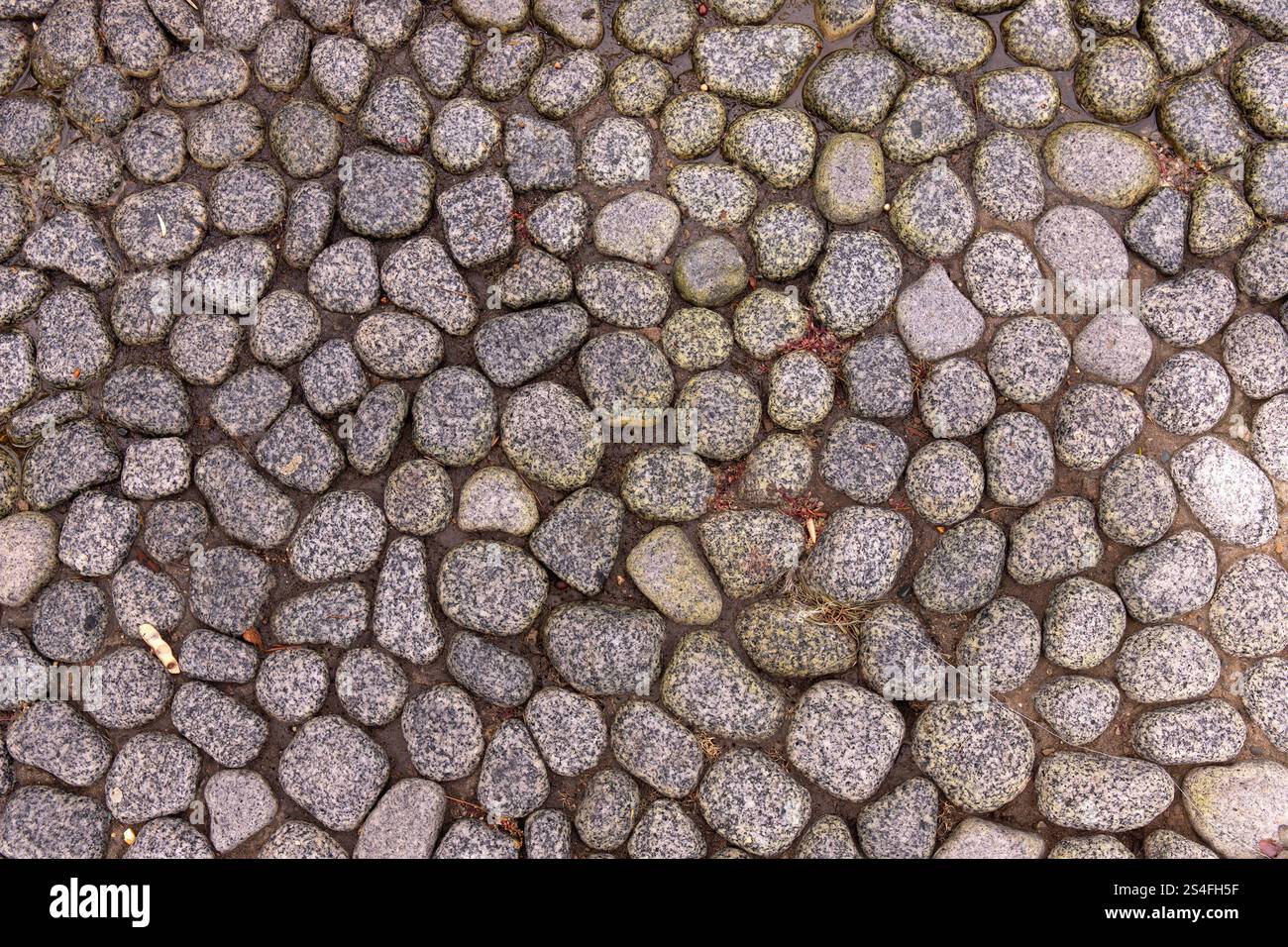 Circular paving stones hi-res stock photography and images - Alamy