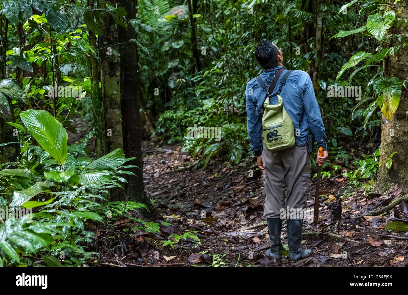 Napo Wildlife Eco Centre guide with machete walking on jungle trail ...