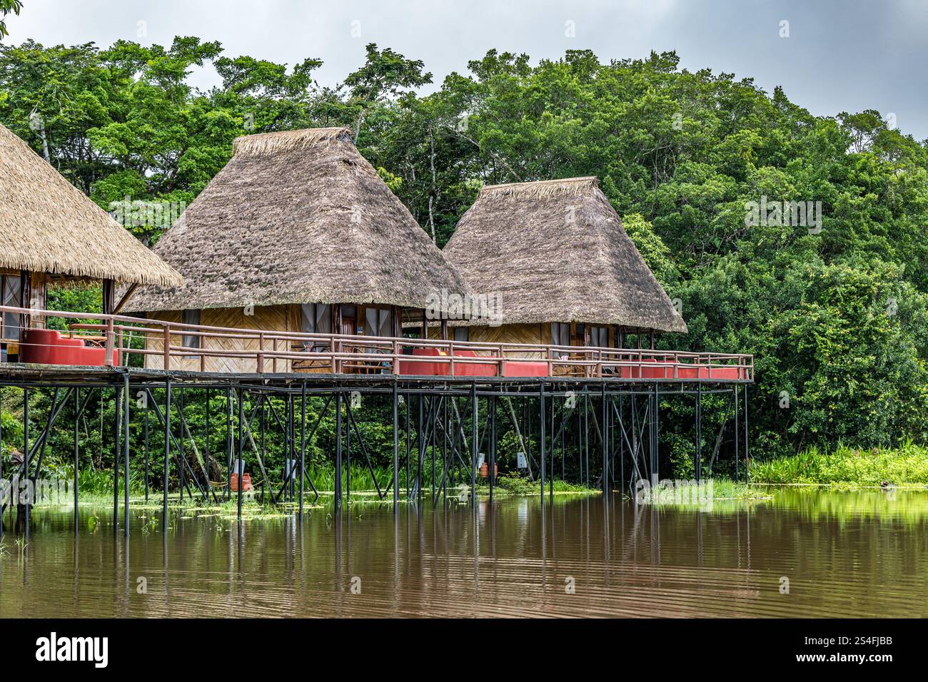 Thatched cabins on stilts, Napo Eco Lodge, Añangu Lake, Amazon rainforest, Yasuni National Park ...