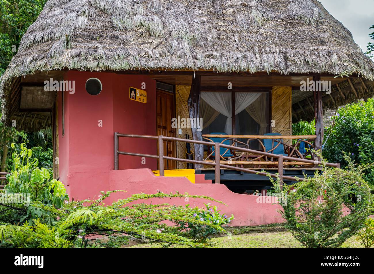 Thatched roof cabin, Napo Eco Lodge, Añangu Lake, Amazon rainforest ...