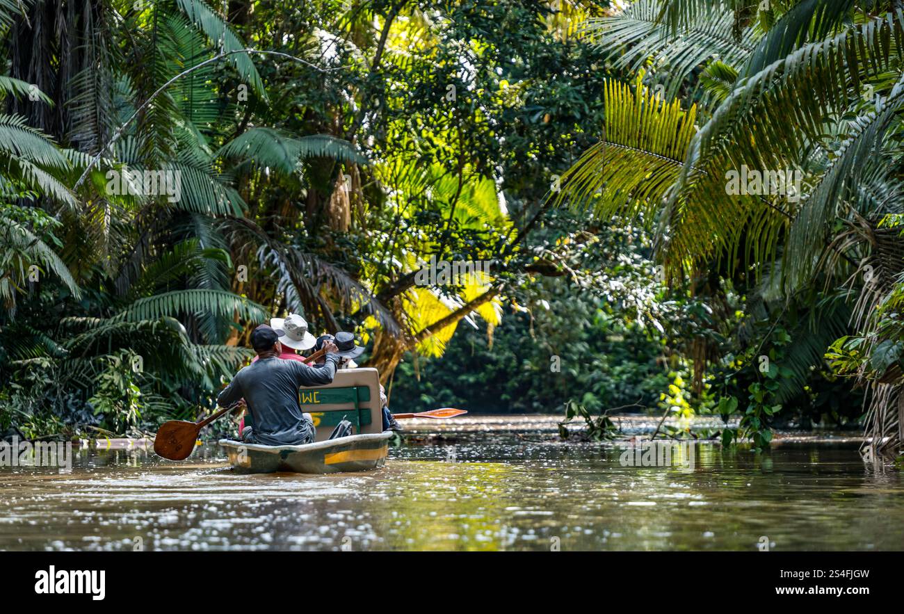 Paddle canoe on Añangu Creek transporting tourists, Amazon rainforest ...