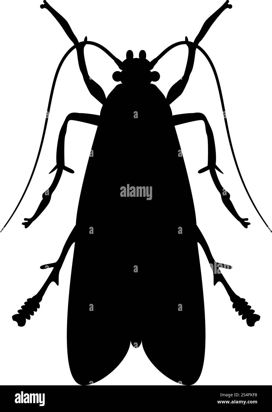Clothes moth Clothing moth Fly insect pest icon black color vector ...
