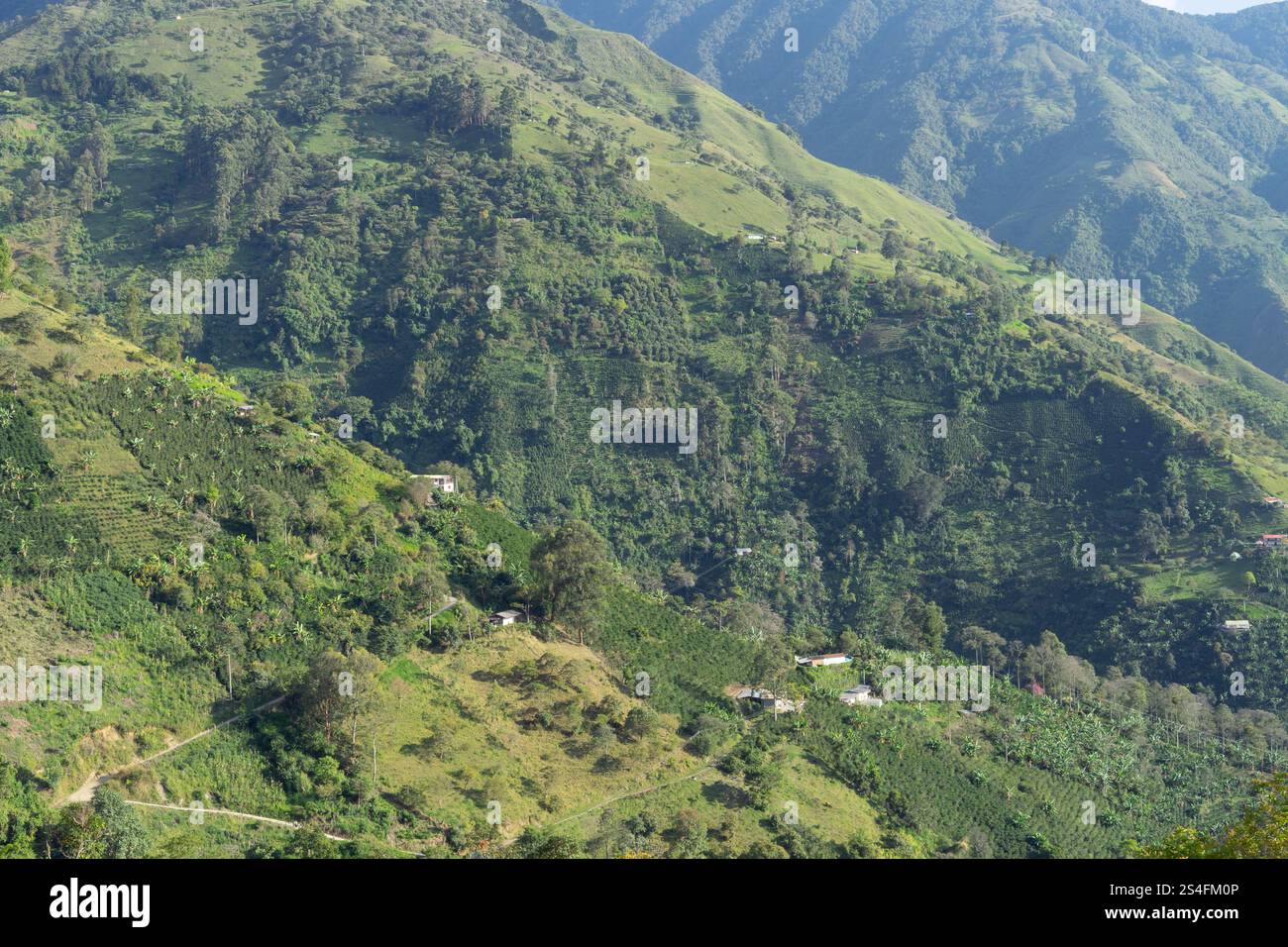 Rural landscape in Liborina, Colombia. Farms with coffee plantations ...
