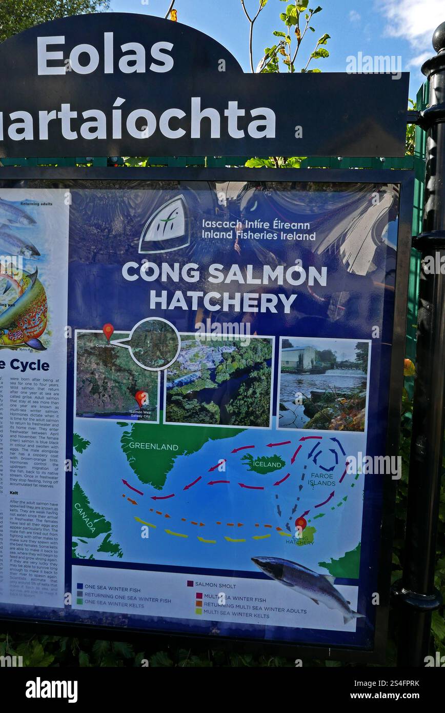 Cong salmon hatchery, Mayo county, Connacht province, Republic of ...