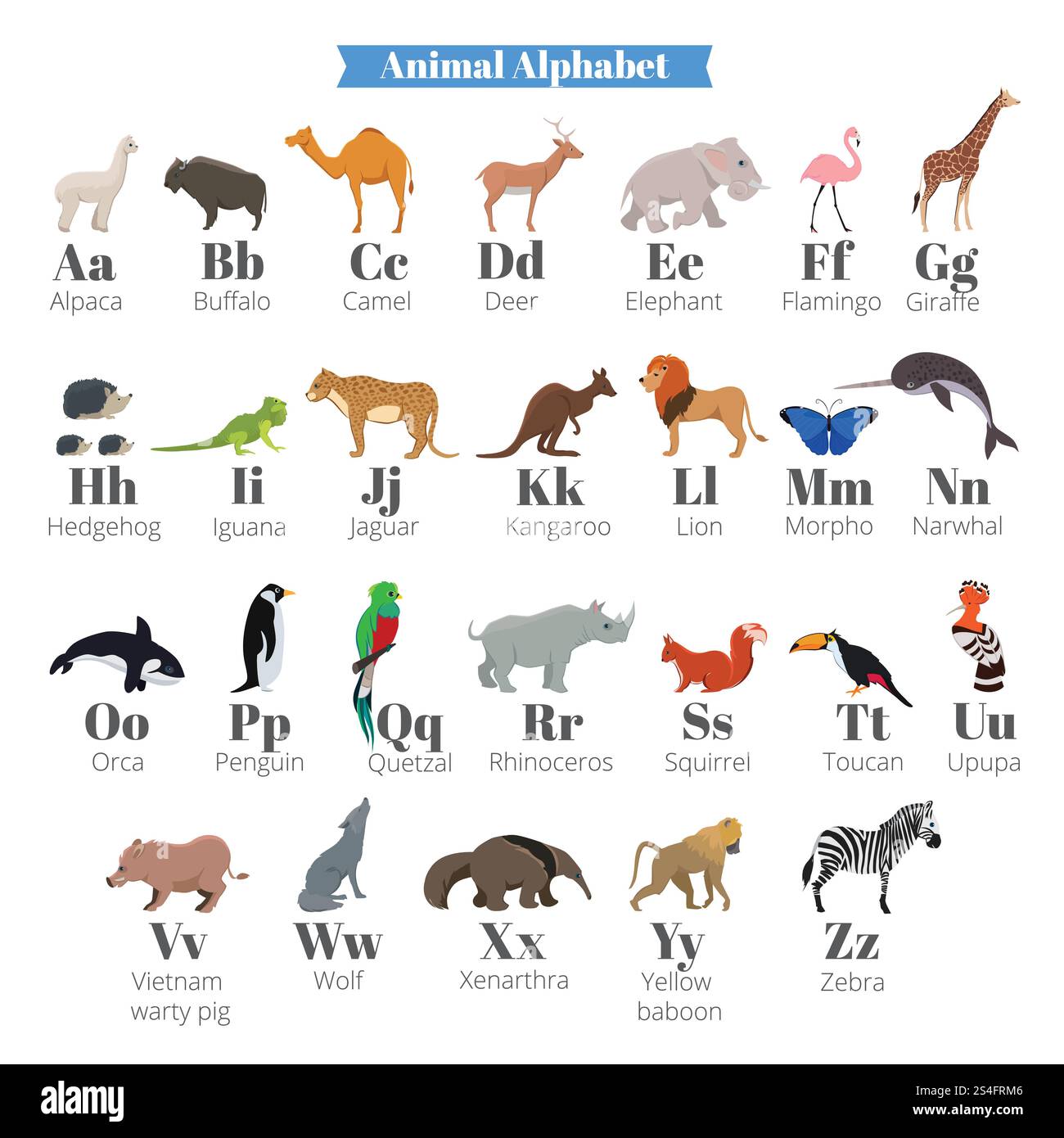 English vector alphabet for kids with cute wild animals near letters ...