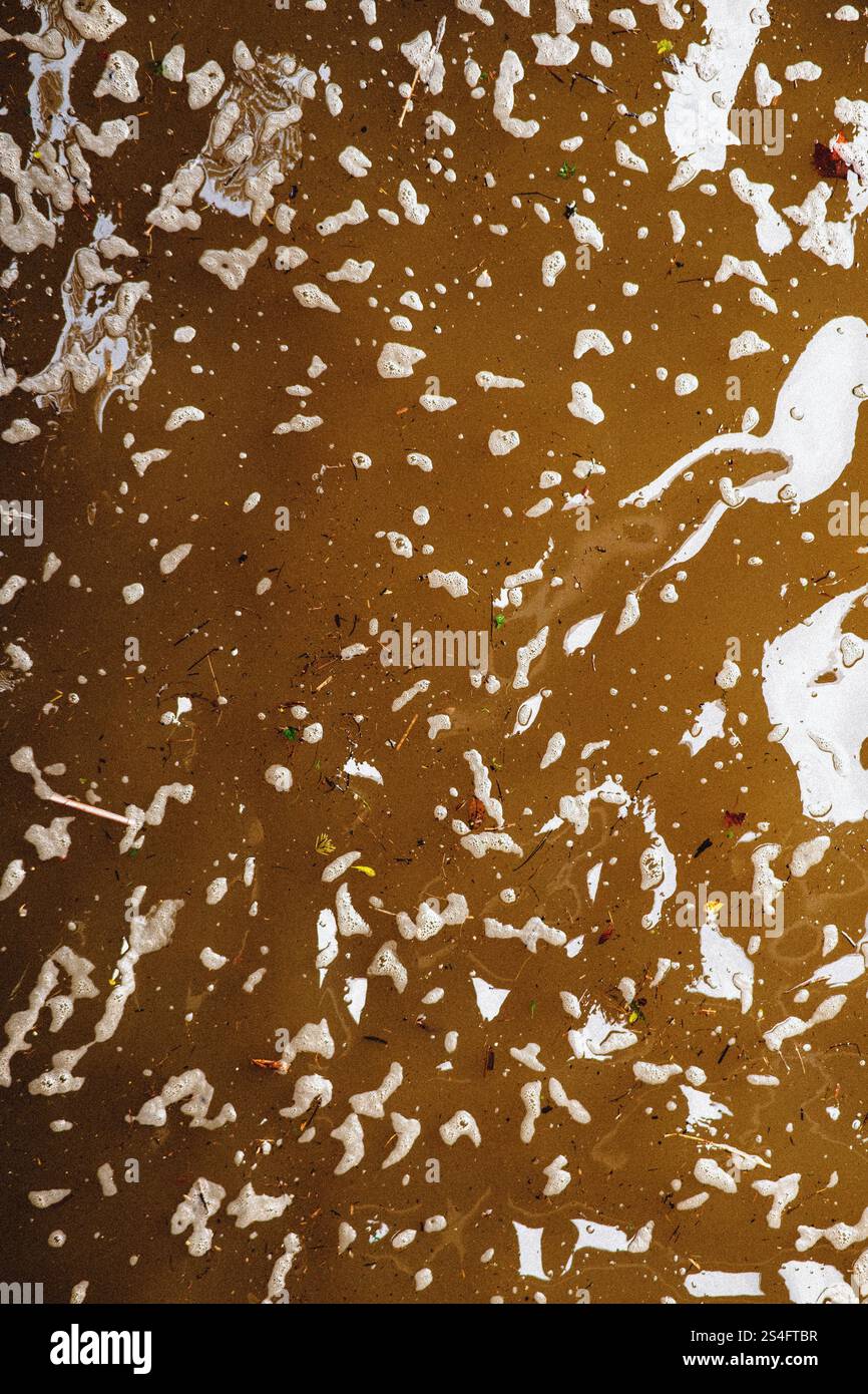 Brown Muddy Water with Foam and Debris Floating on the Surface Stock ...