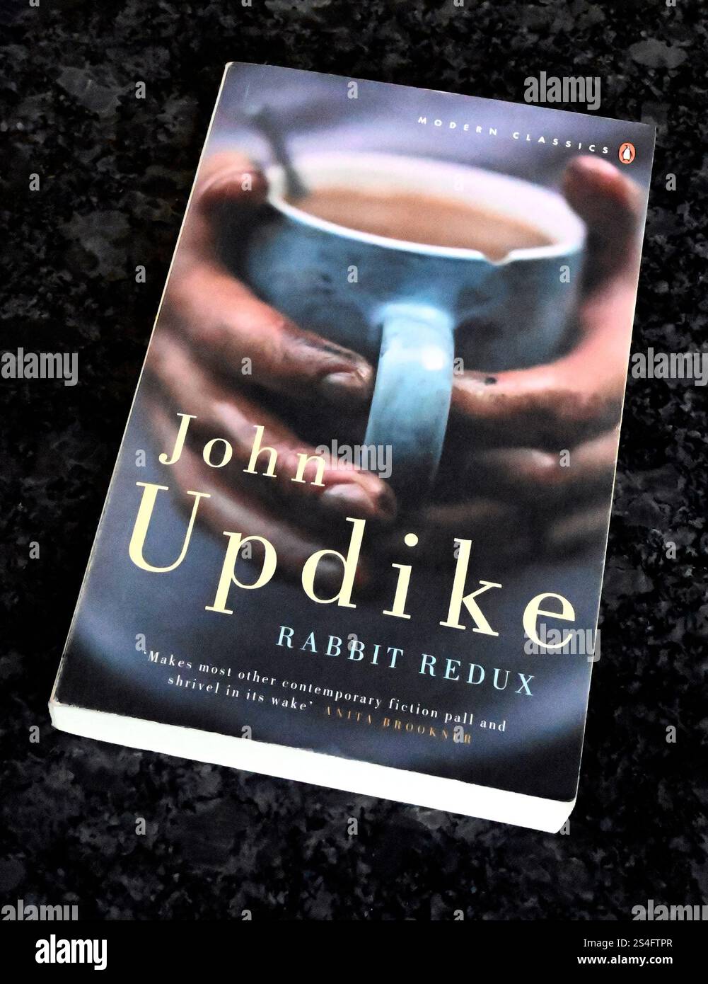 Book cover "Rabbit Redux" by John Updike Stock Photo - Alamy