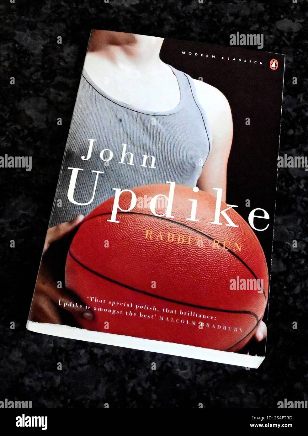 Book cover "Rabbit, Run" by John Updike Stock Photo - Alamy