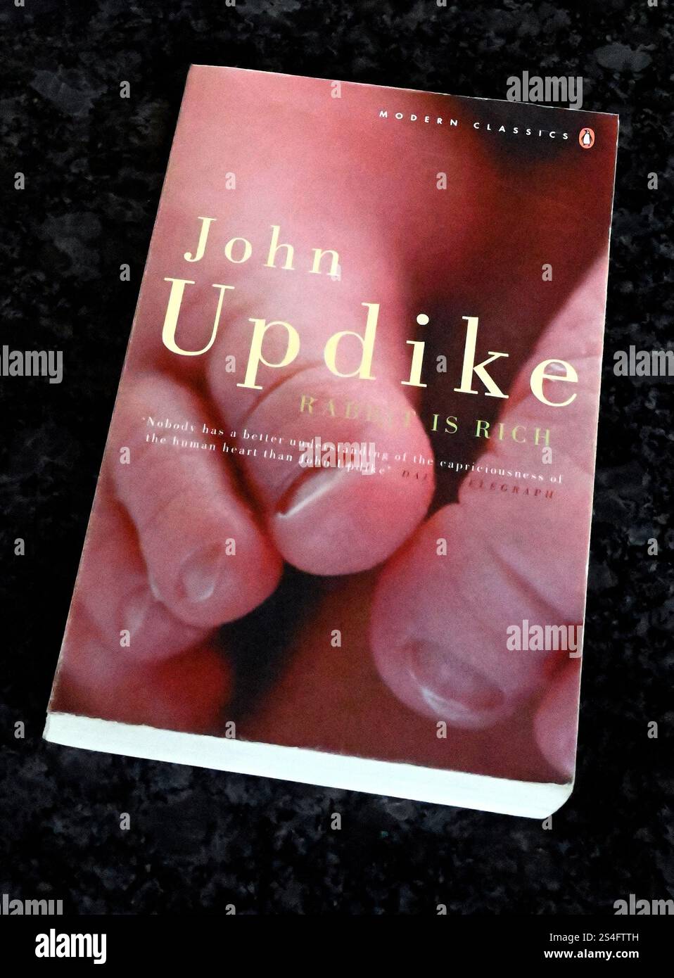 Book cover "Rabbit is Rich" by John Updike Stock Photo - Alamy