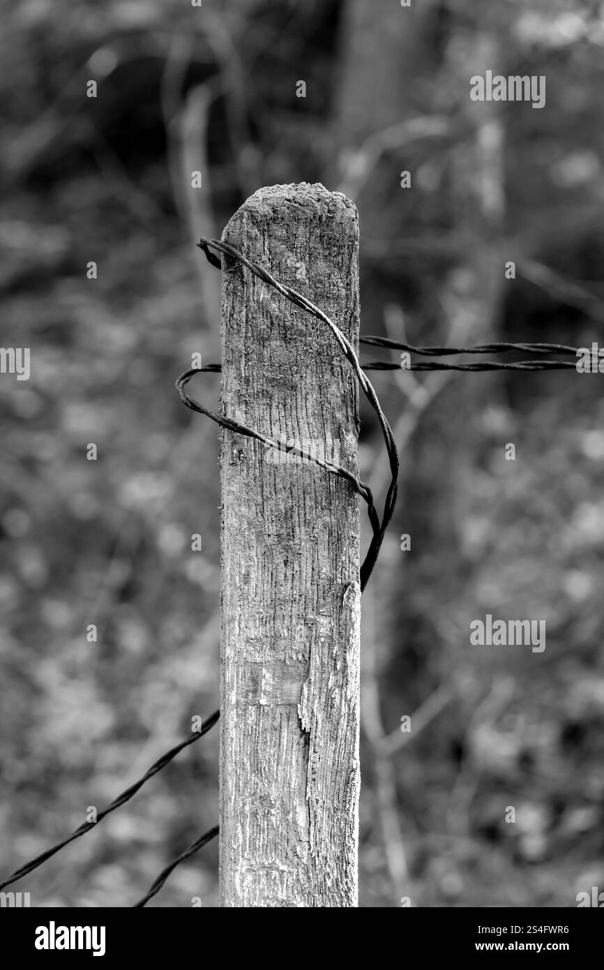 Rustic black and white pole with wire agriculture concept background ...