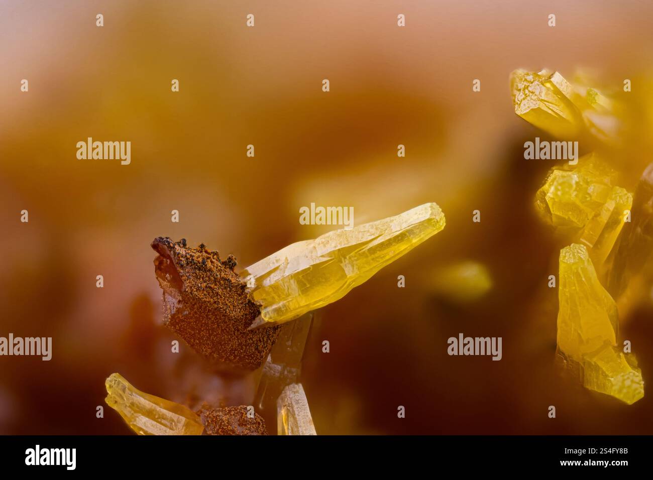 Mimetite crystal. Specimen from Clara mine, Oberwolfach, Germany. Micro ...