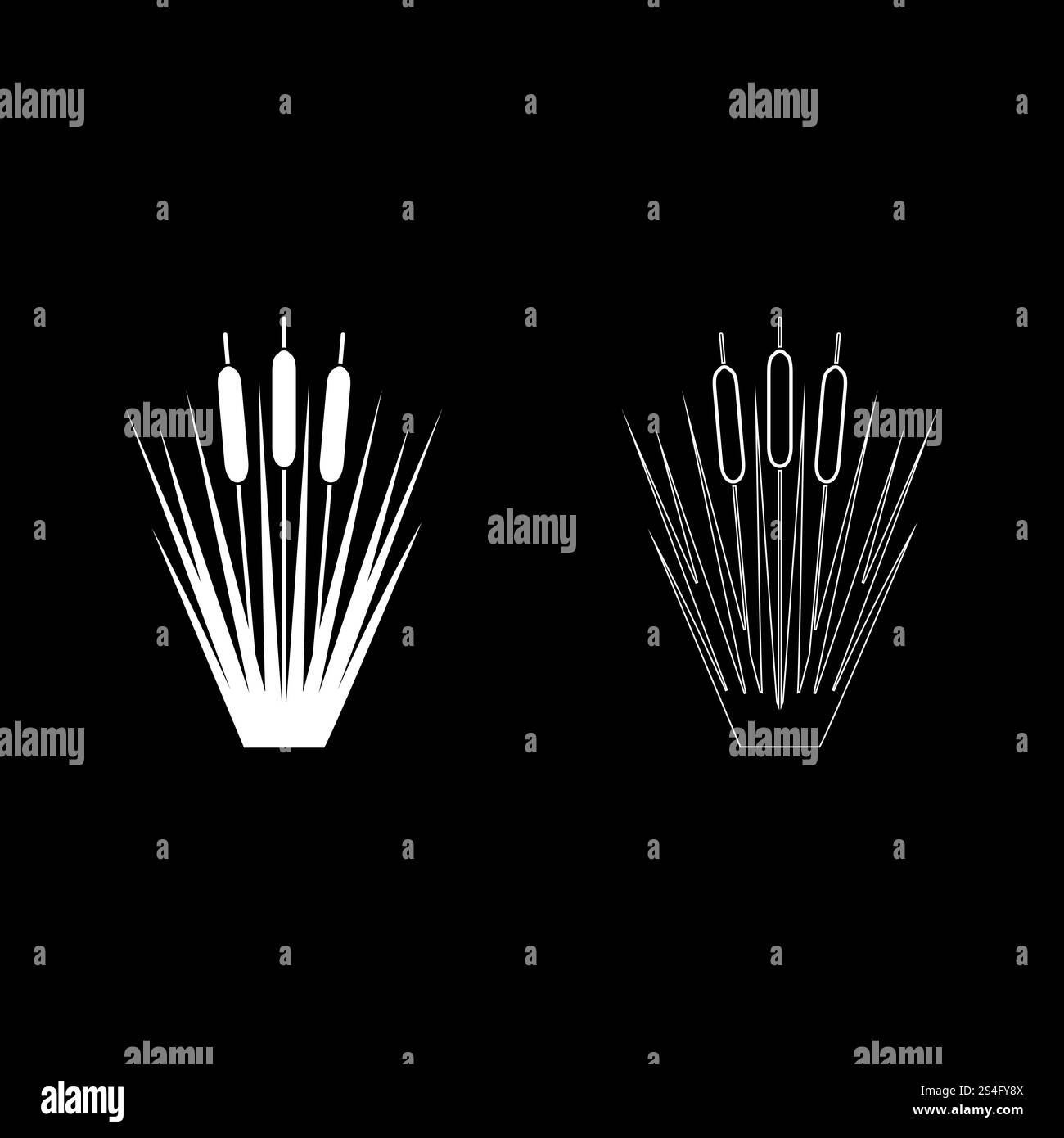 Reed Bulrush Reeds Club-rush ling Cane rush icon set white color vector ...