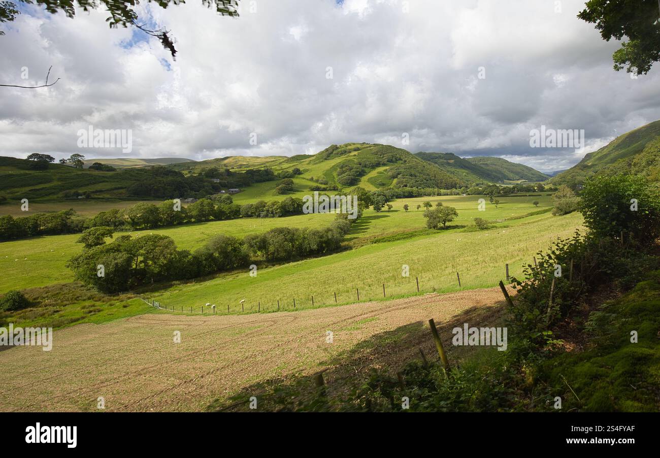 Landscape at the Talyllyn Railway in Gwynedd in Wales Stock Photo - Alamy