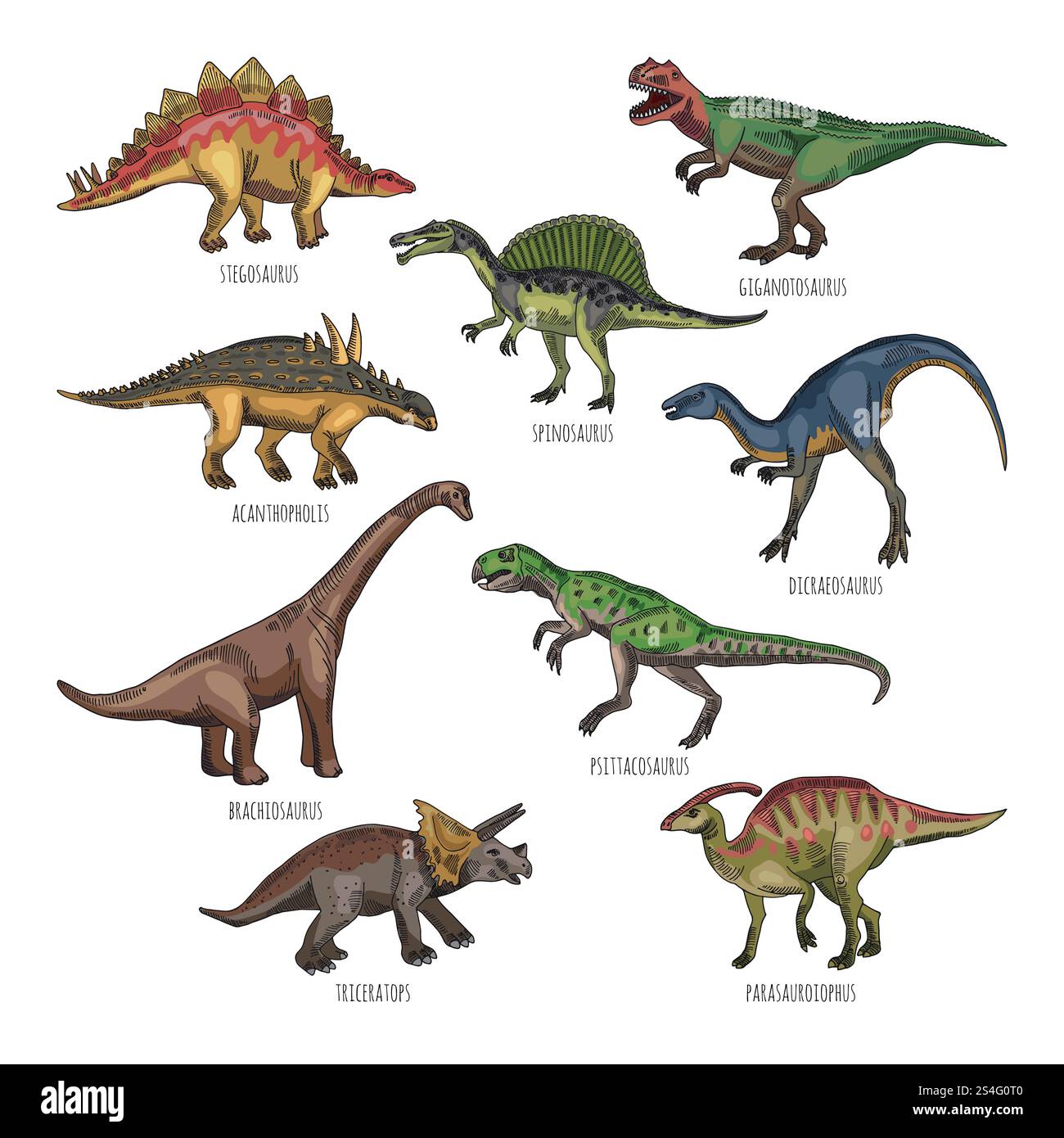 Colored illustrations of different dinosaurs types. Tyrannosaurus, rex ...