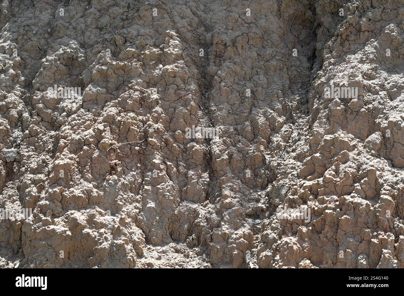 Dry cracks erosion sediment background geology in biosphere Reserve ...