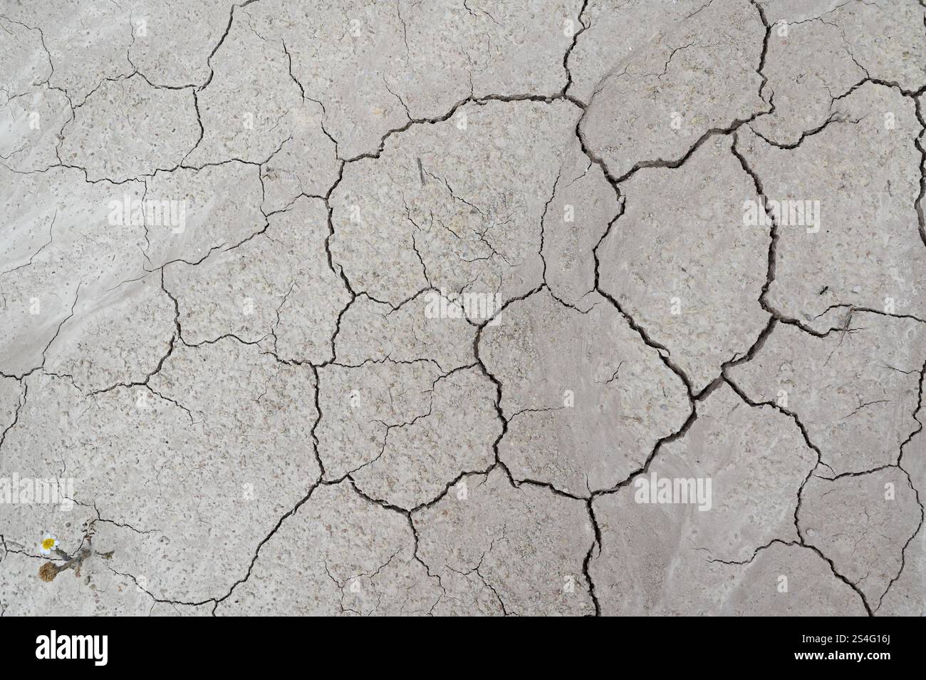 Dry cracks erosion sediment background geology in biosphere Reserve ...