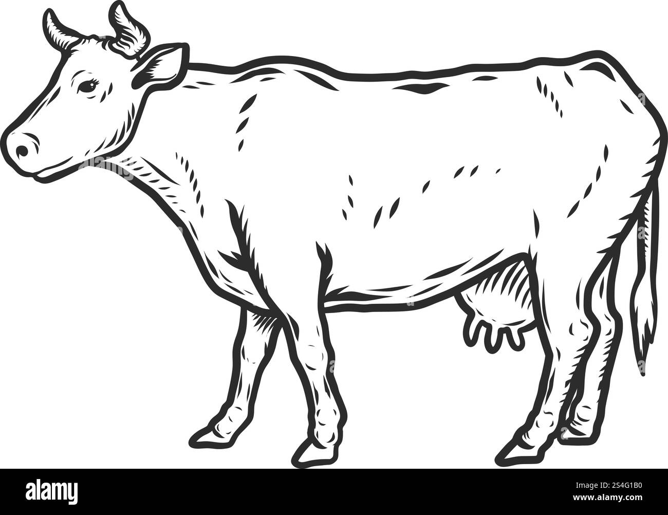 Cow icon. Hand drawn illustration of cow vector icon for web design ...