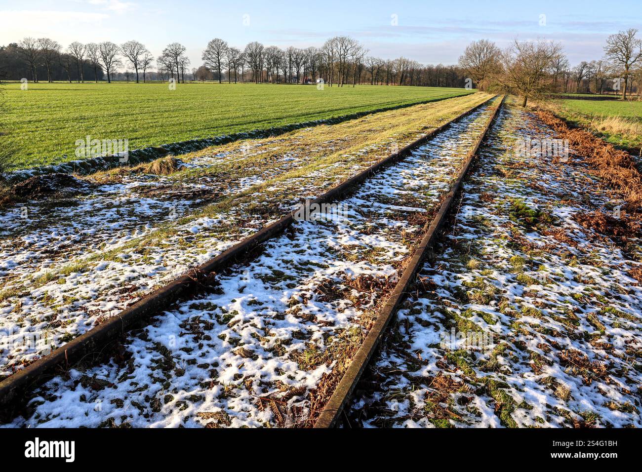 Naturschutzgebiet Borkense baan - Gleise der stillgelegten ...