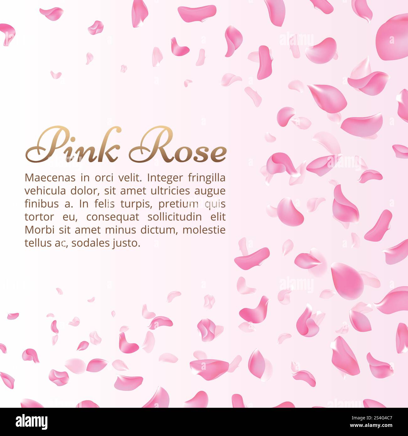 Pink rose or sakura falling petals. Elegant romantic vector background ...