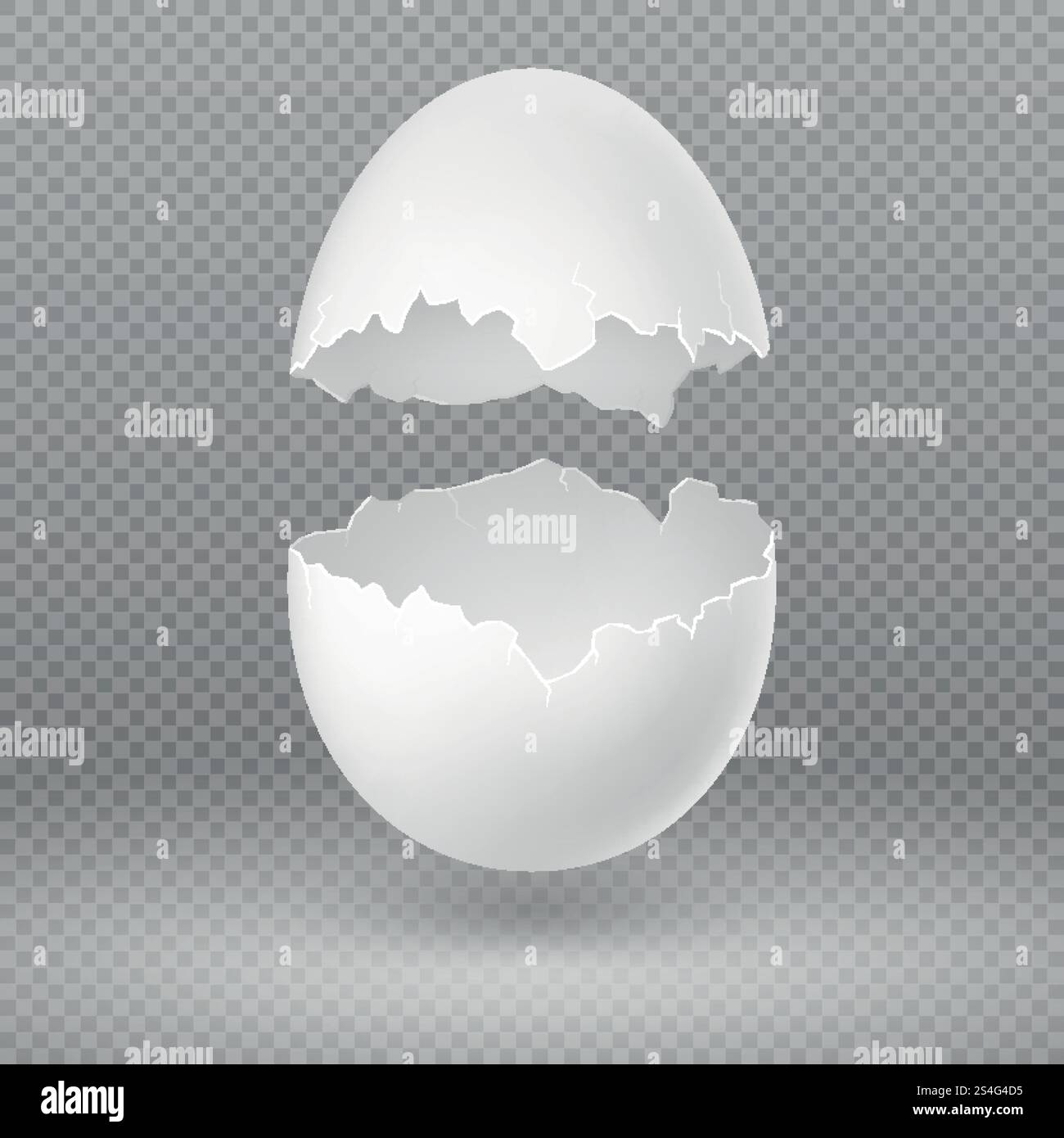 Opened white egg with broken shell isolated vector illustration ...