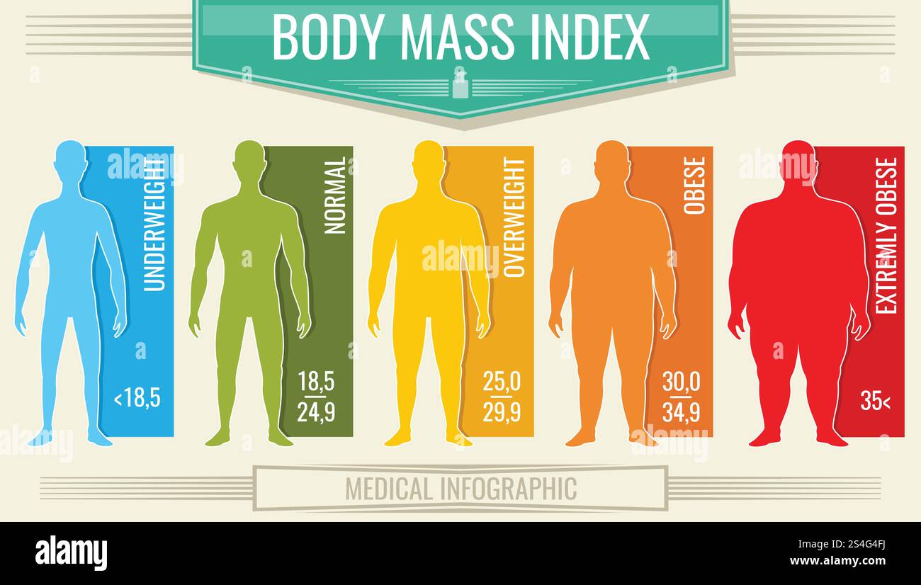 What Is Bmi Chart Bmi Chart Hi Res Stock Photography And Images