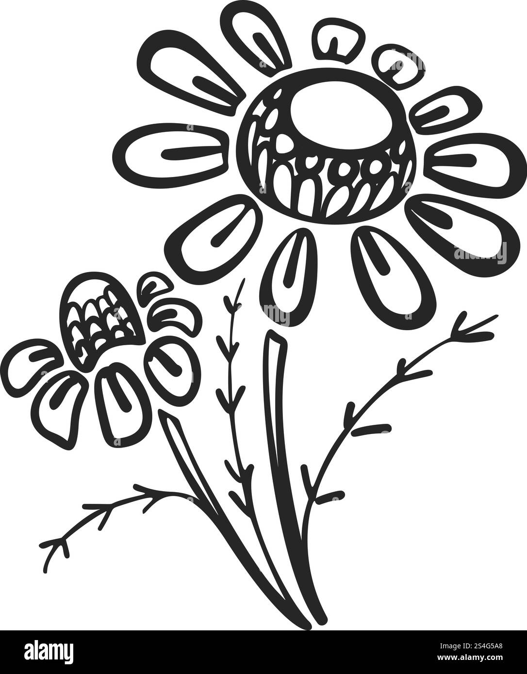 Branch of chamomile icon. Simple illustration of branch of chamomile ...