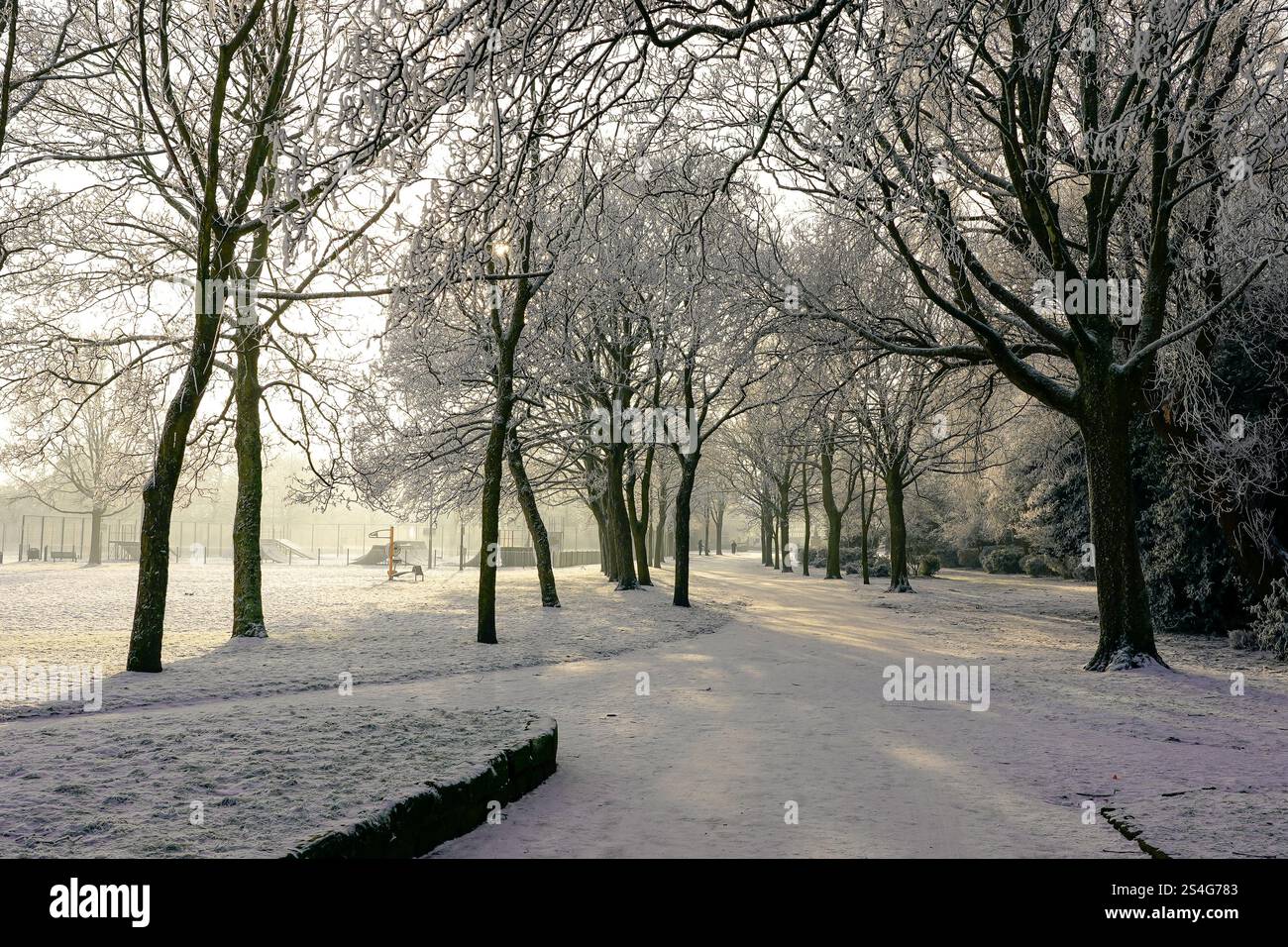 2025 starts with a covering of snow in Victoria Park Widnes, Cheshire ...