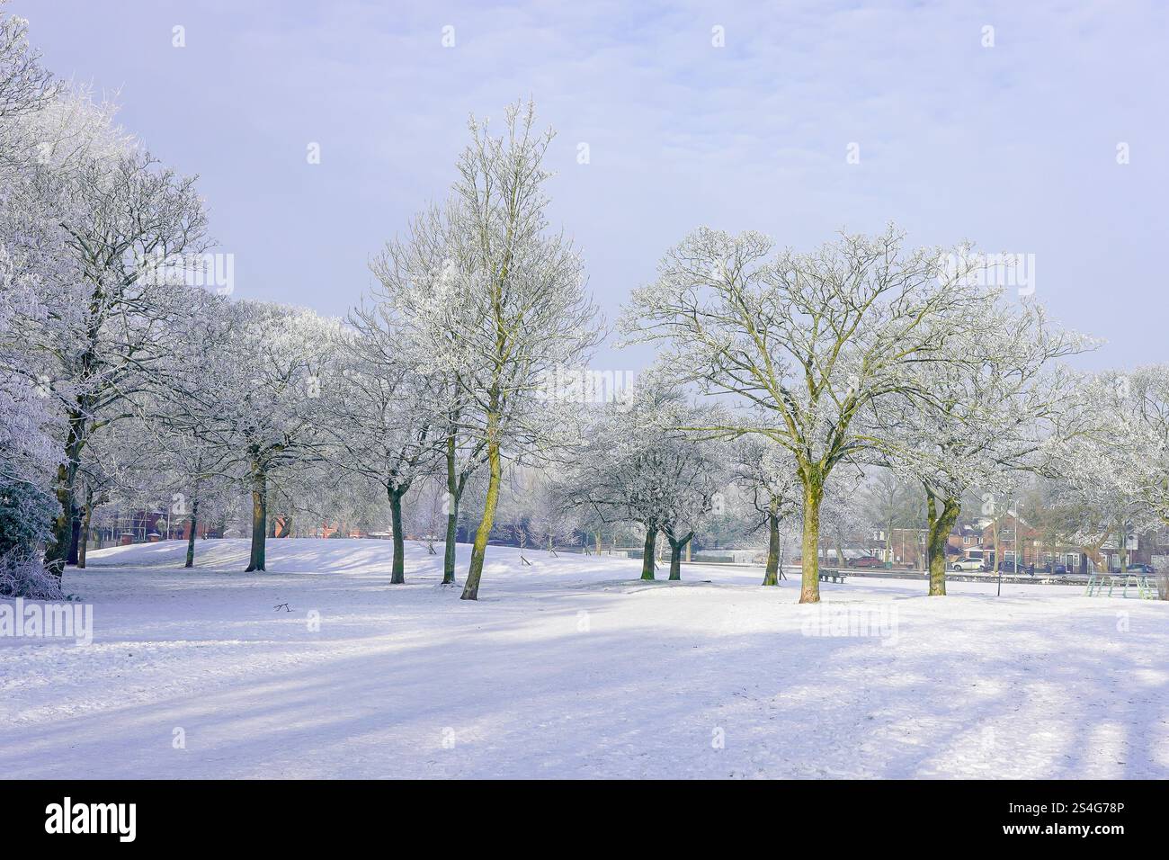 2025 starts with a covering of snow in Victoria Park Widnes, Cheshire ...