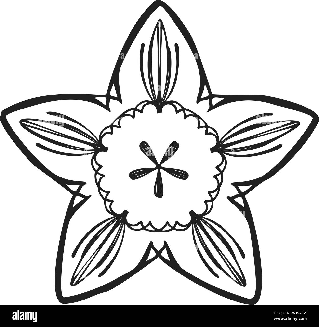 Red hibiscus rose flower Black and White Stock Photos & Images - Alamy