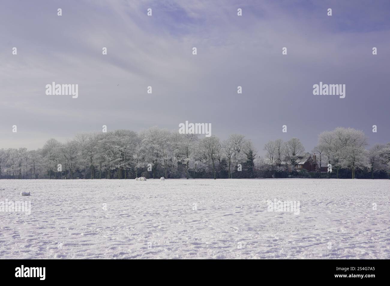 2025 starts with a covering of snow in Victoria Park Widnes, Cheshire ...