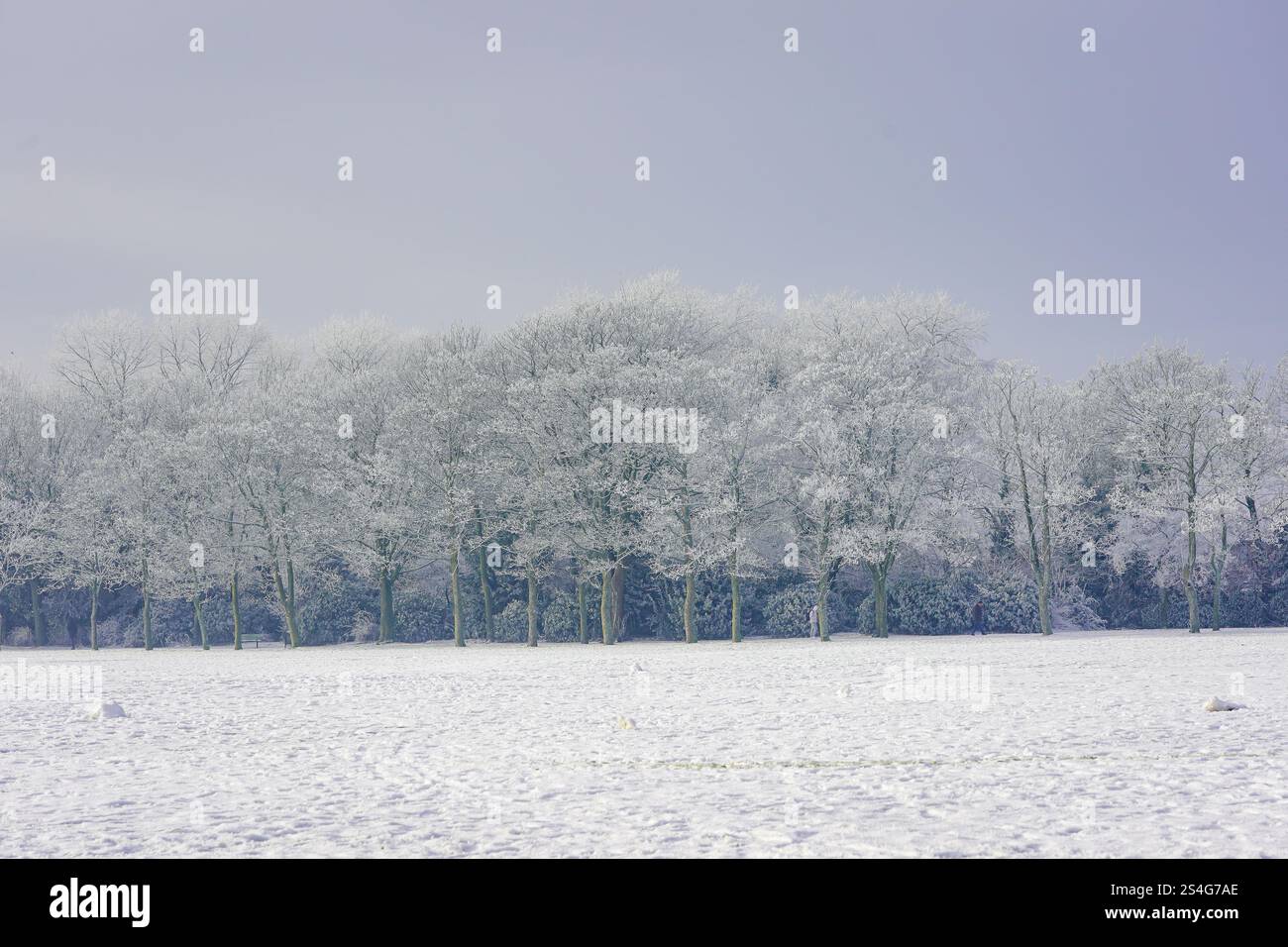 2025 starts with a covering of snow in Victoria Park Widnes, Cheshire ...