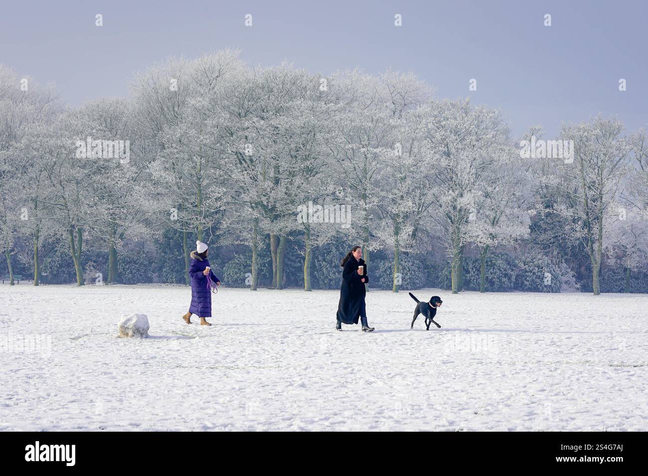 2025 starts with a covering of snow in Victoria Park Widnes, Cheshire ...