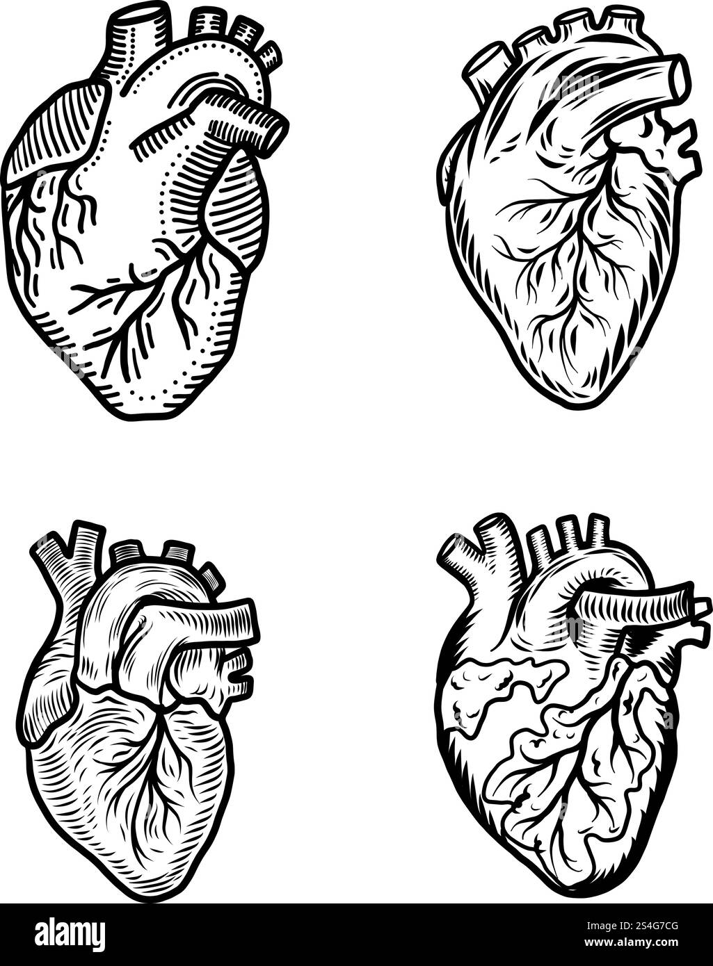 Heart human icon set. Hand drawn set of heart human vector icons for ...