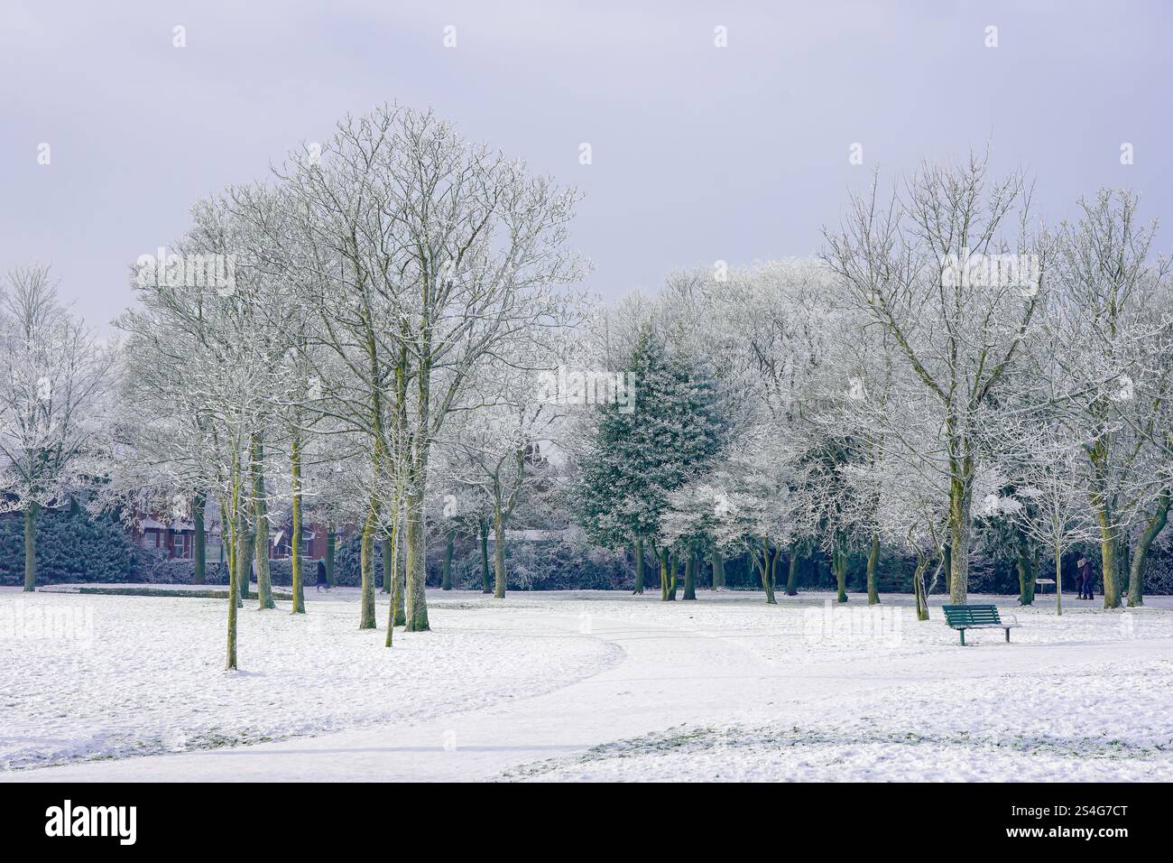 2025 starts with a covering of snow in Victoria Park Widnes, Cheshire ...