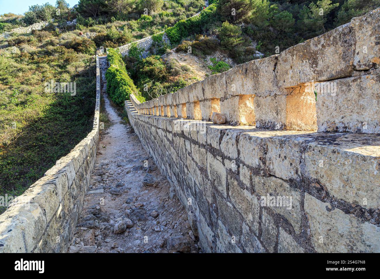 Defensive lines hi-res stock photography and images - Alamy