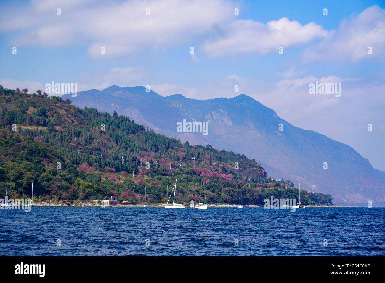 (250112) -- YUXI, Jan. 12, 2025 (Xinhua) -- This photo shows the ...