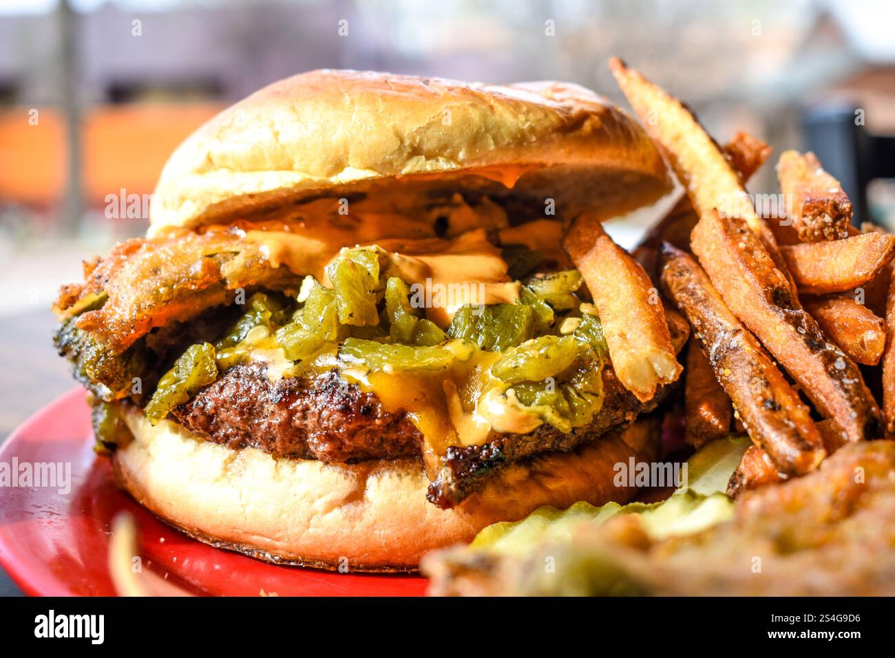 Green chile cheeseburger with a side of fries from The Mine Shaft ...