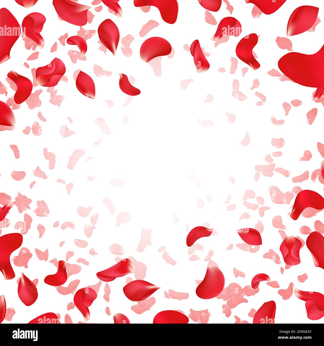 Red rose falling scattered petals wedding vector background ...