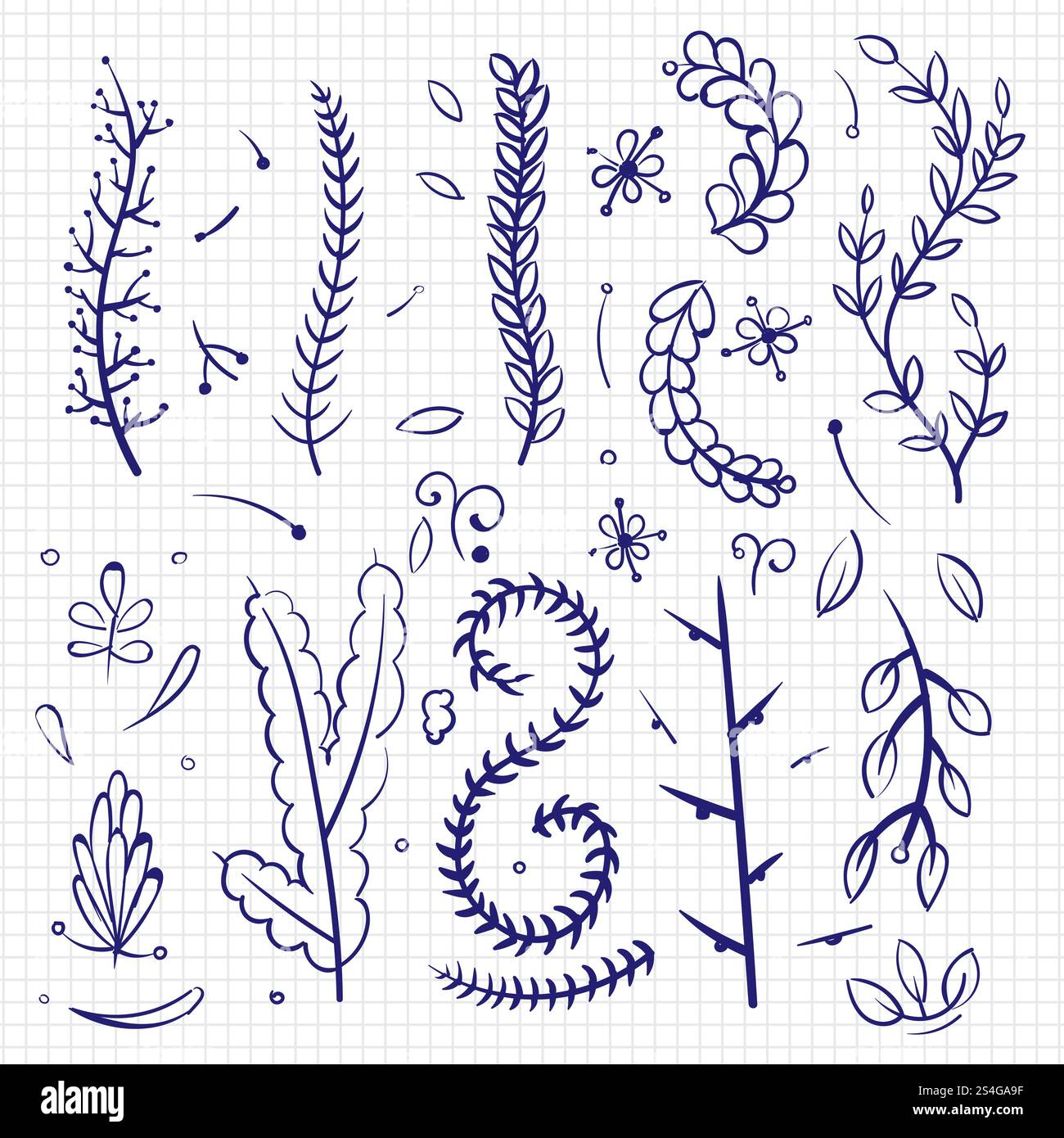 Hand drawn doodle branches and decorative elements isolated. Vector ...